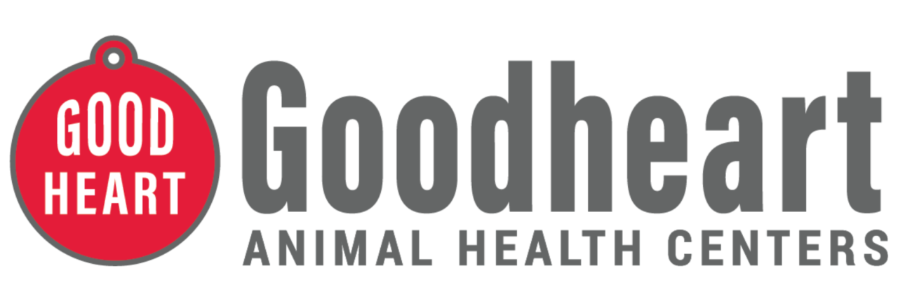 Dog Not Eating? Here’s What You Need To Know – Goodheart Animal Health ...