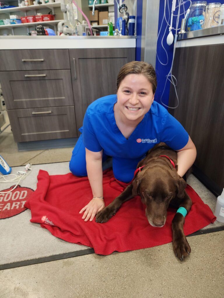 Trust Your Vet, Not Dr Google – Goodheart Animal Health Centers